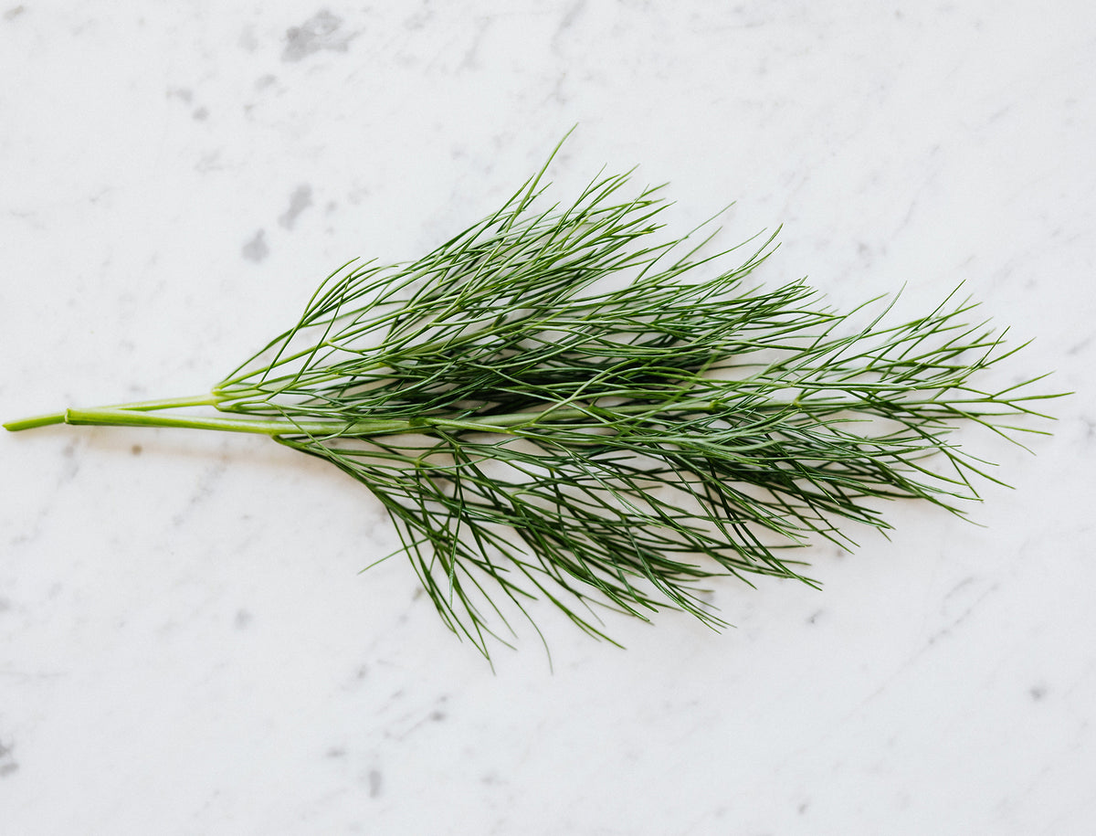 Tout ce que vous devez savoir sur l'aneth